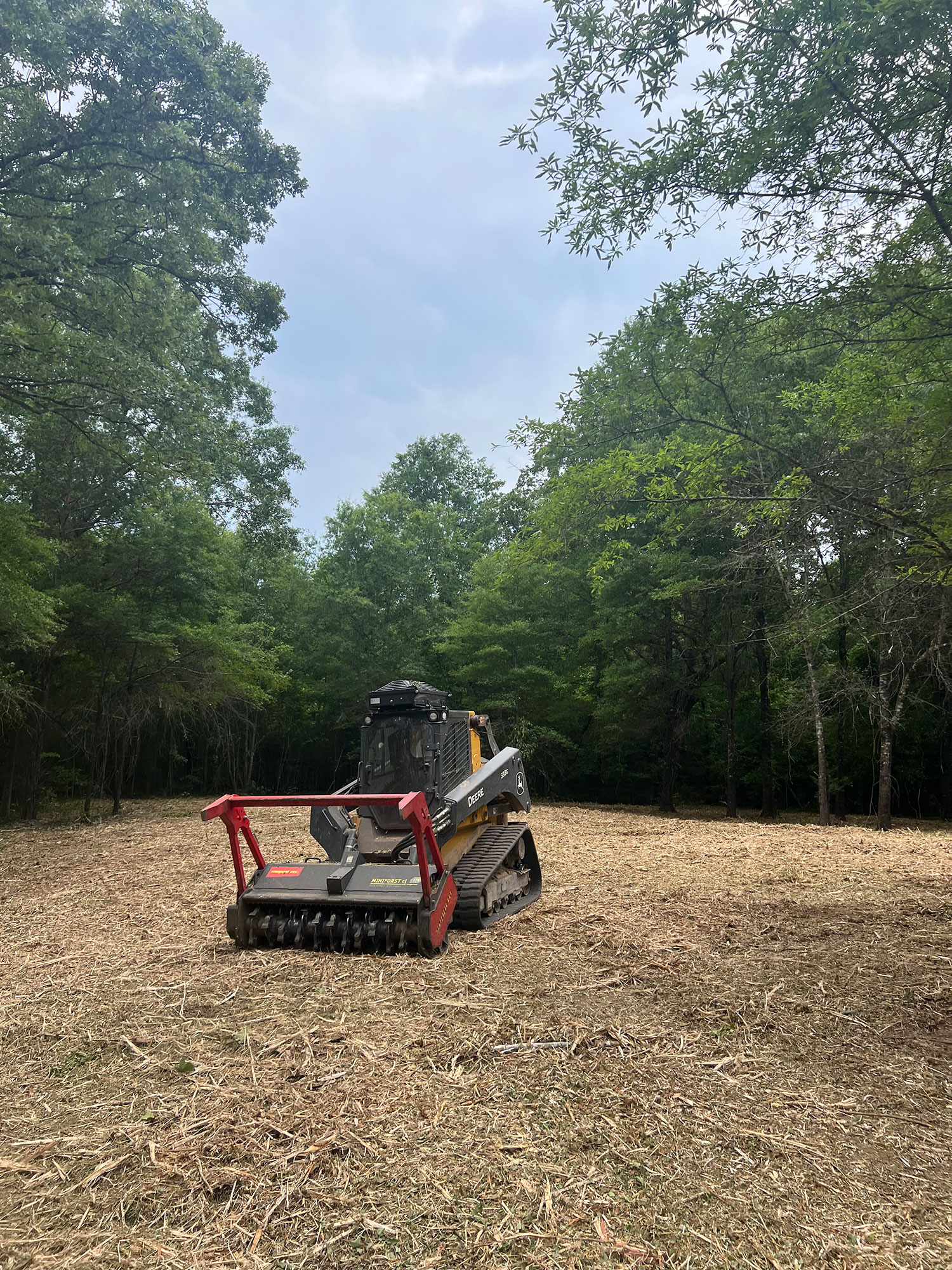 Forestry Mulching: Benefits for Property Owners | Rogers CL